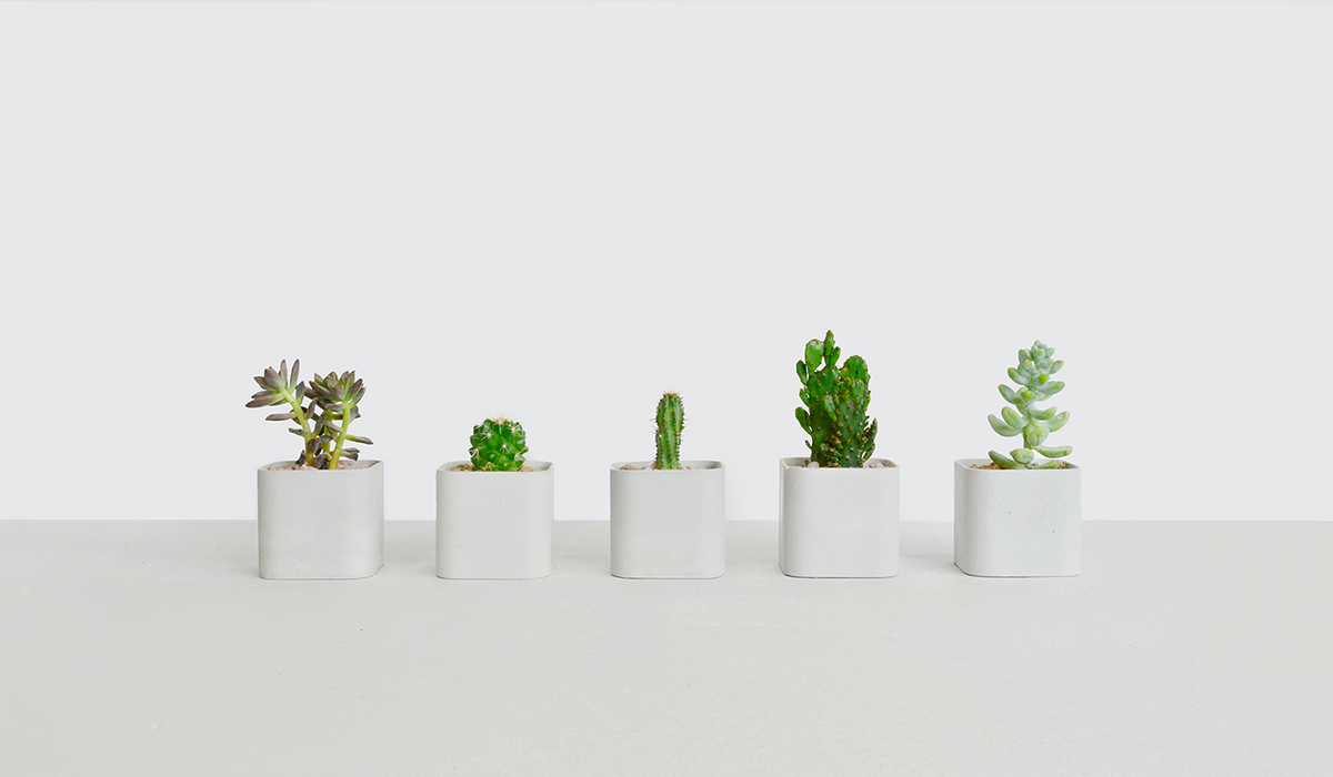 B2B Made Simple - Skynet Software | Thiết kế ứng dụng Mobile - iOS ...